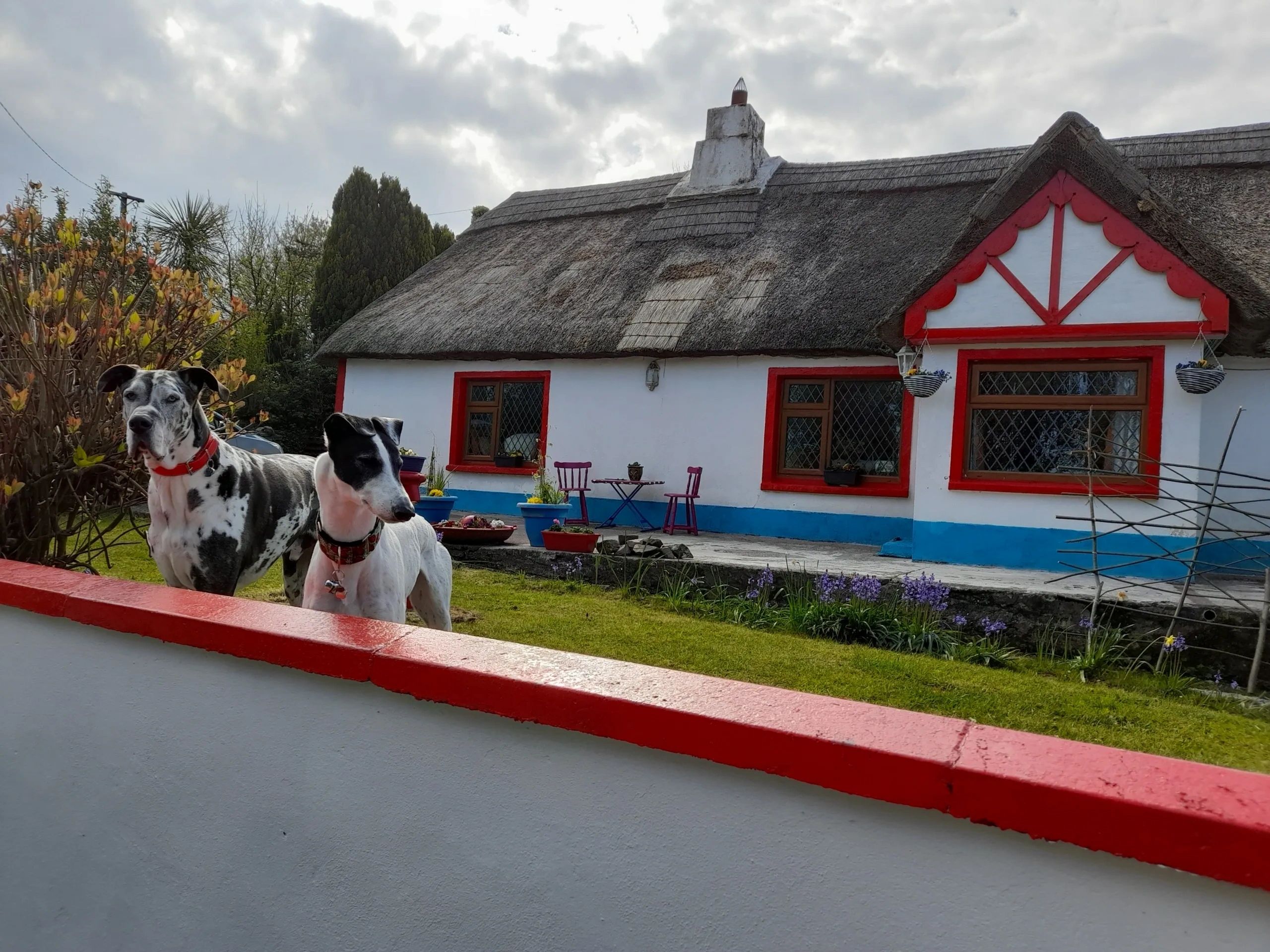 Castle Retreat in Ireland - Intuitive Directions' Retreats