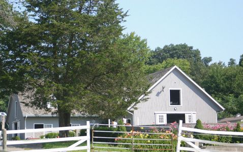 Foxridge Farm
