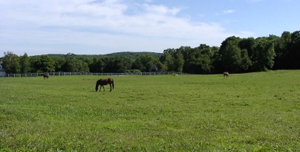 Foxridge Farm