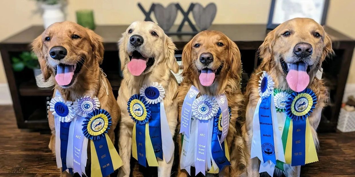 Our Goldens