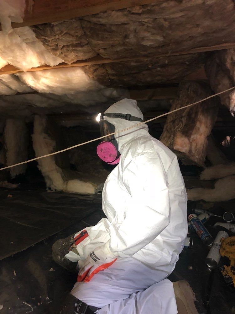 Crawl Attic Seattle - French Drain Installation, Our French Drain Systems