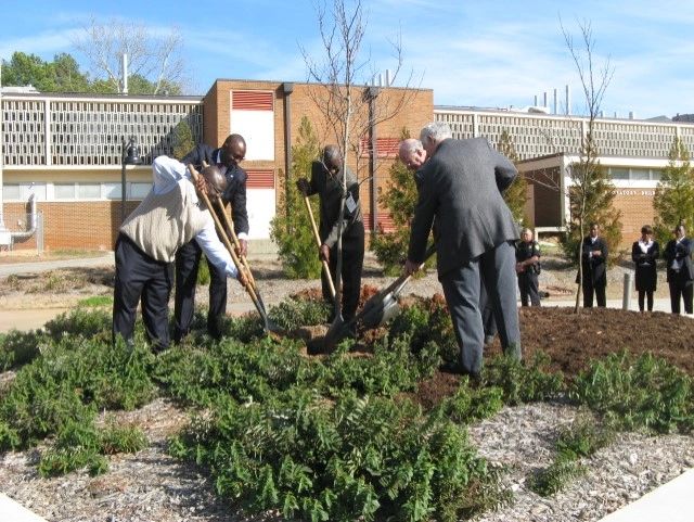 TREES PLANTING BY THE AFRICA HERITAGE FOUNDATION FOR UN