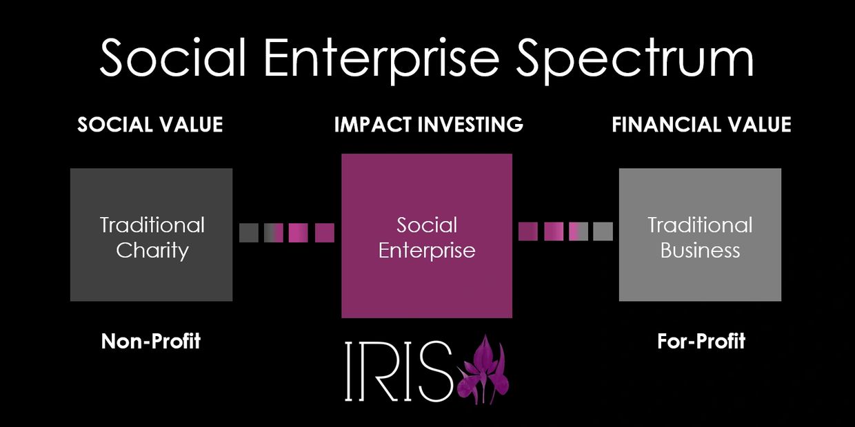 What We Do | The IRIS Collaborative