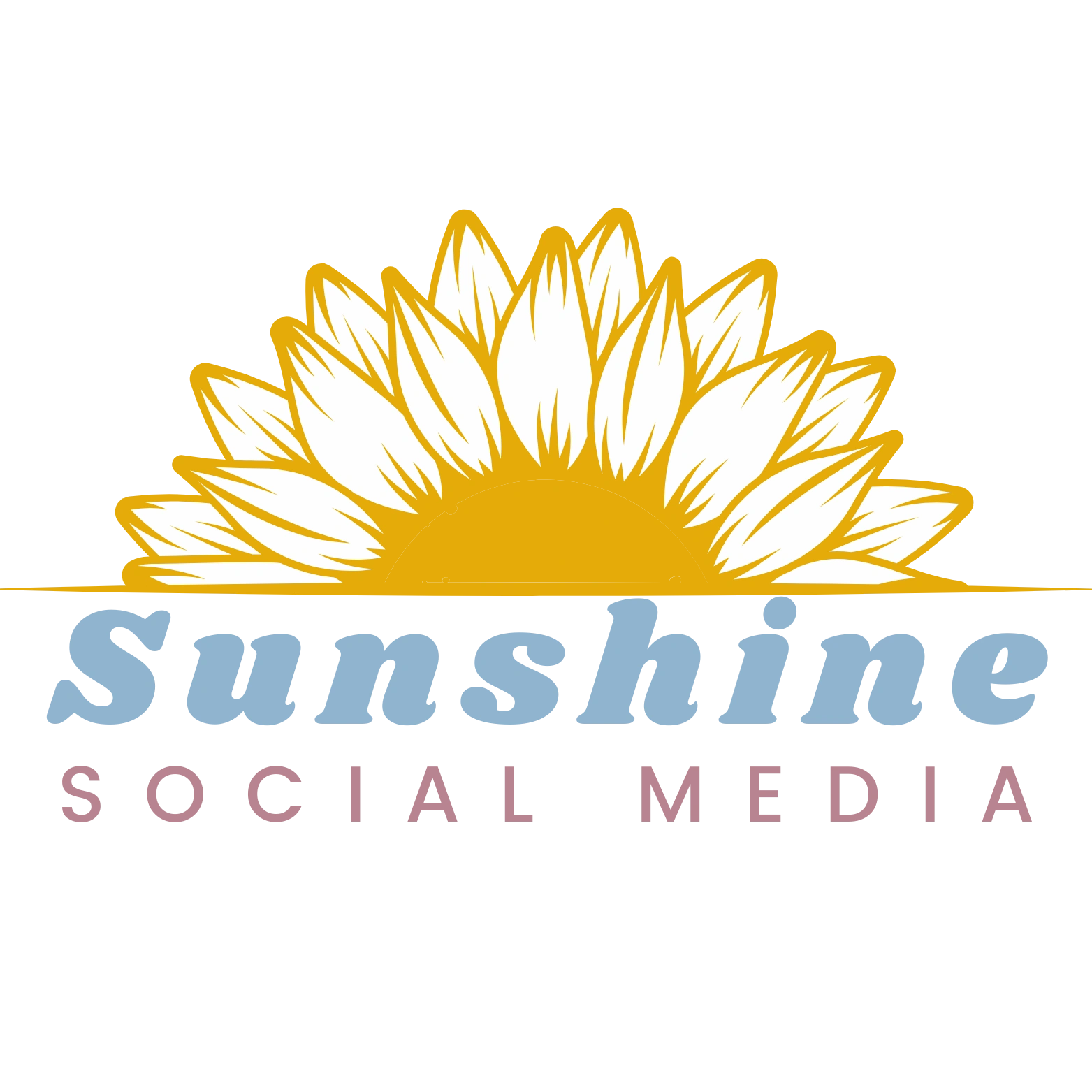 Sunshine Social Media, LLC
