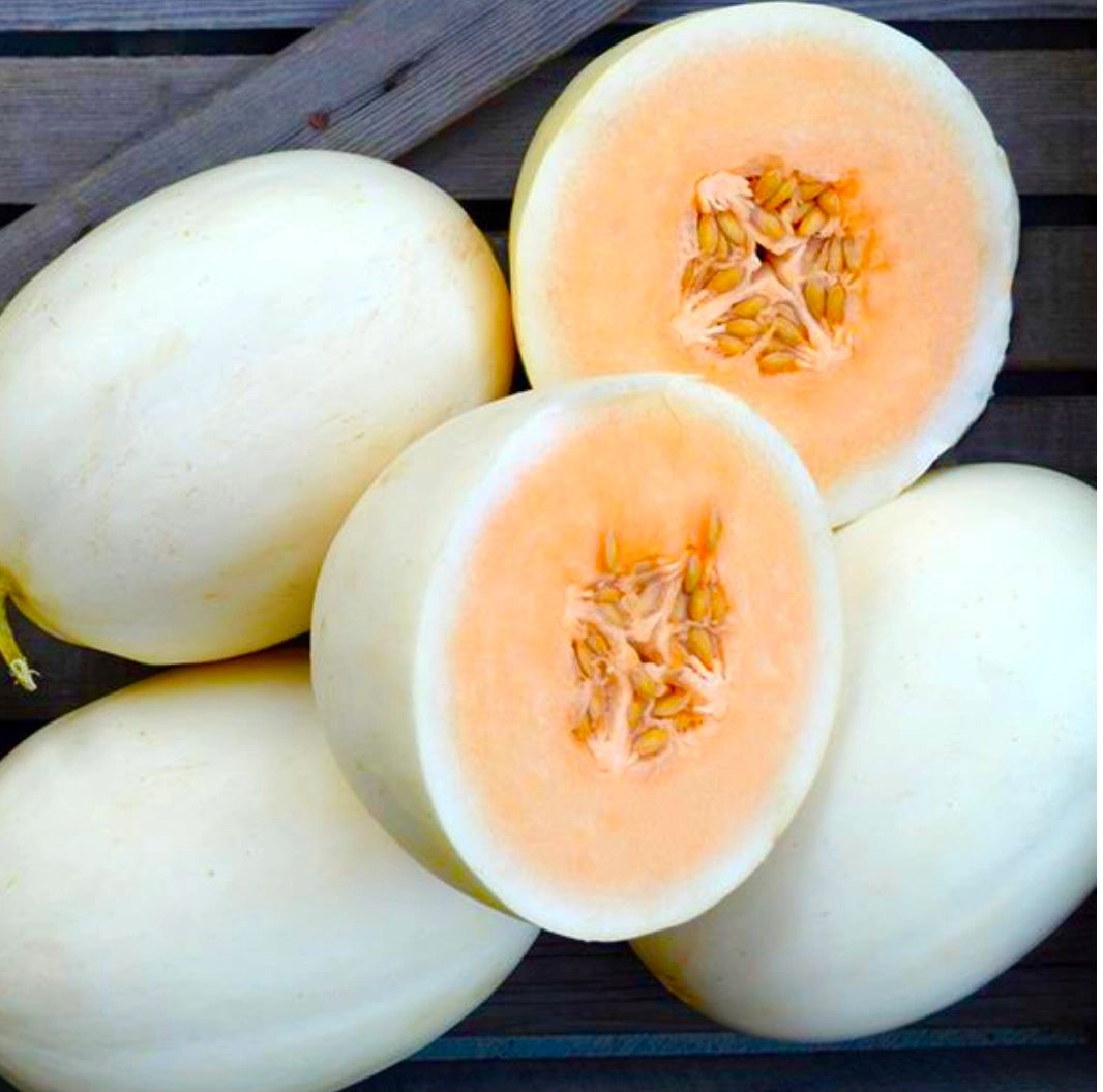Melons