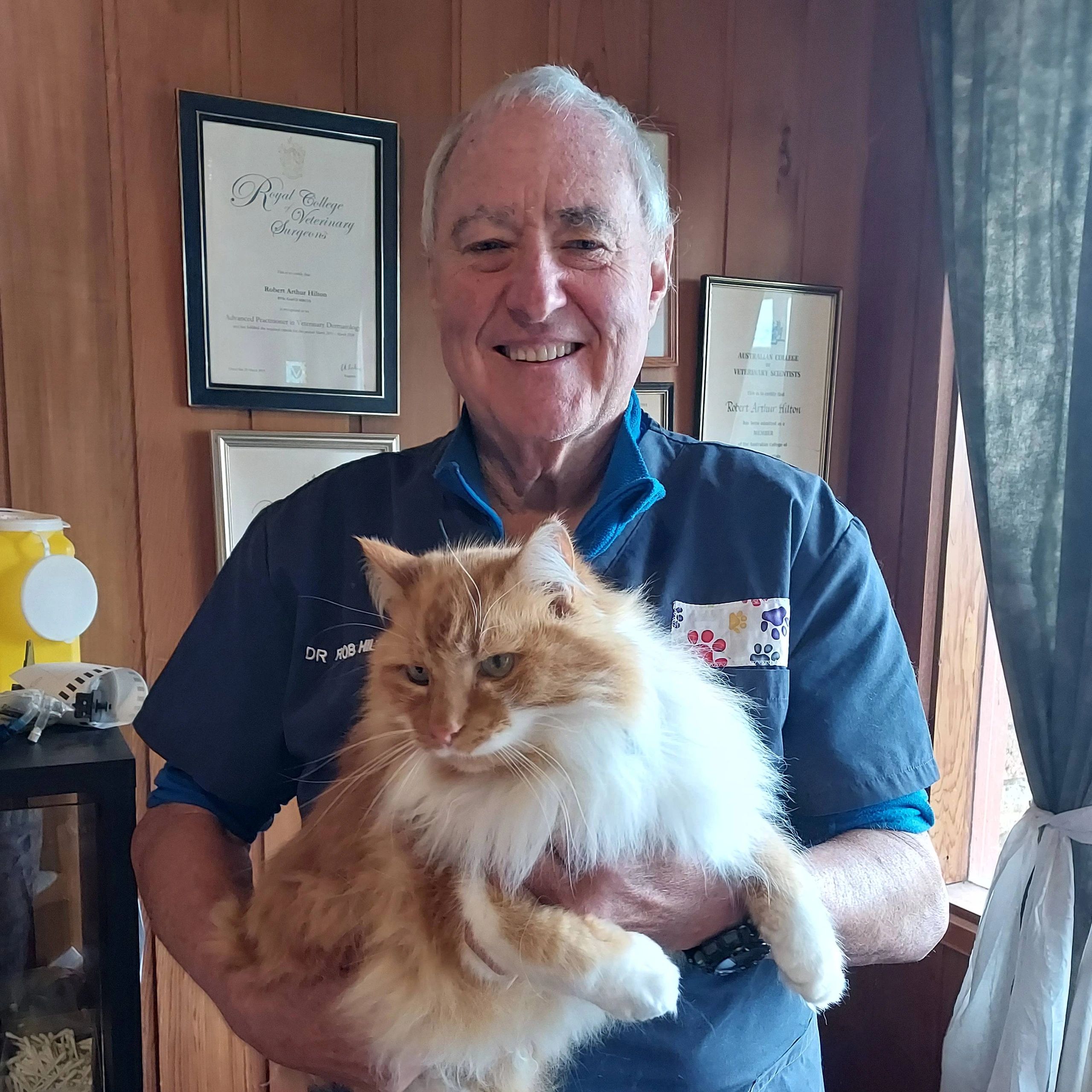 Skin Vet - Veterinary Dermatology Allergy, Cat, Dog