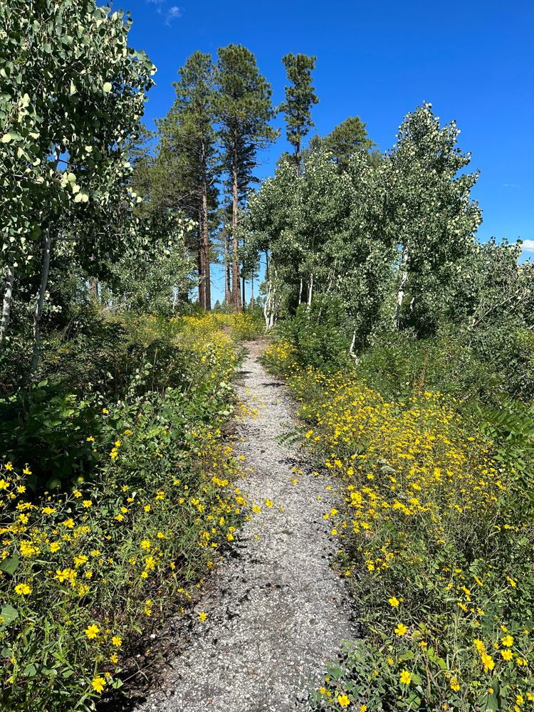 CCV Payson in Payson, Arizona