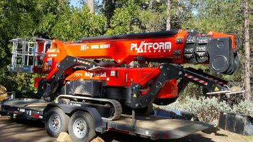 Mario's Tree Service