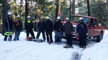 Mario's Tree Service