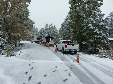 Mario's Tree Service