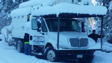 Mario's Tree Service