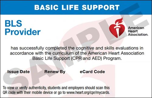 Gwinnett Locations ONLY AHA BLS Blended SKILL-OUT Session Hands on ...