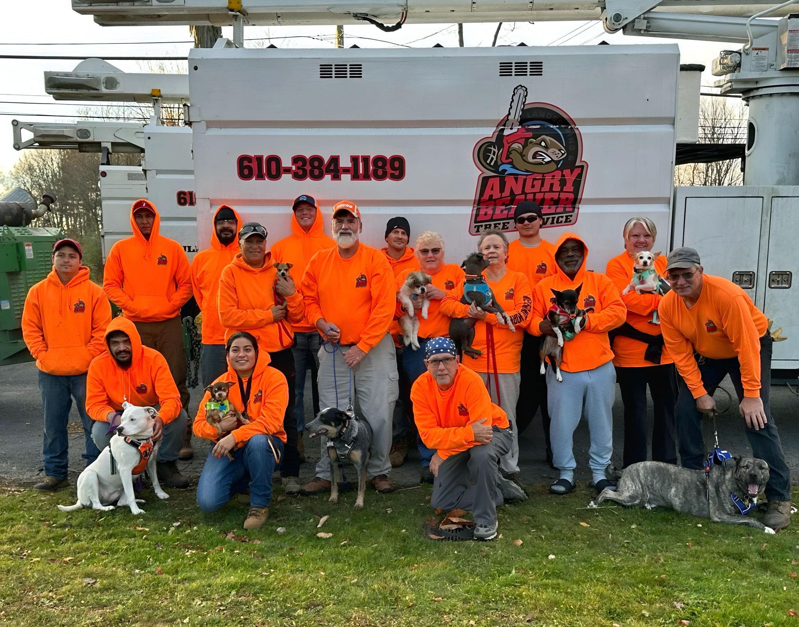 Angry Beaver Landscaping & Tree Service, LLC - Tree Service, Pruning