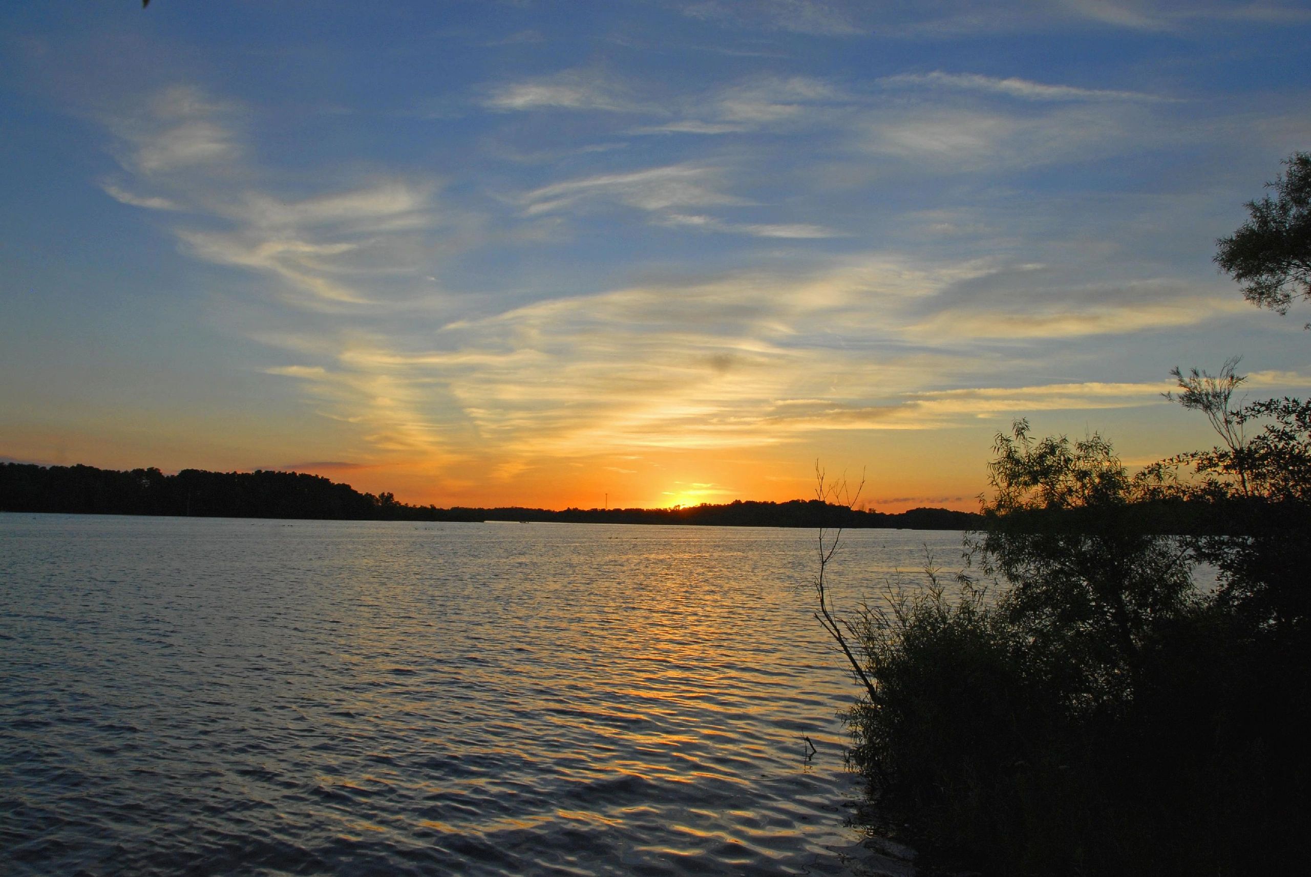 Owner and Broker of Record, Douglas Pain, Muskoka Lakes Real Estate ...