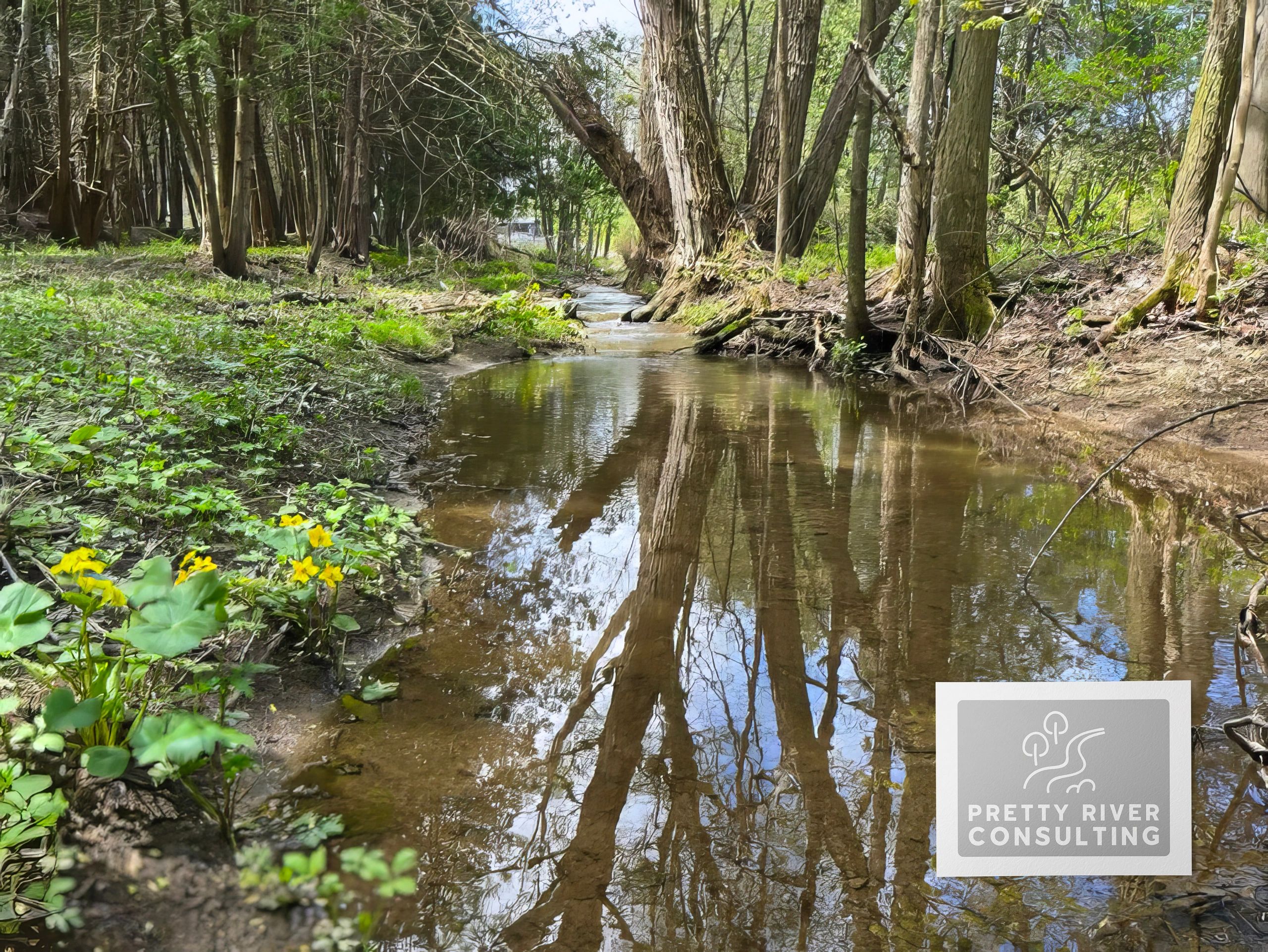 Pretty River Consulting