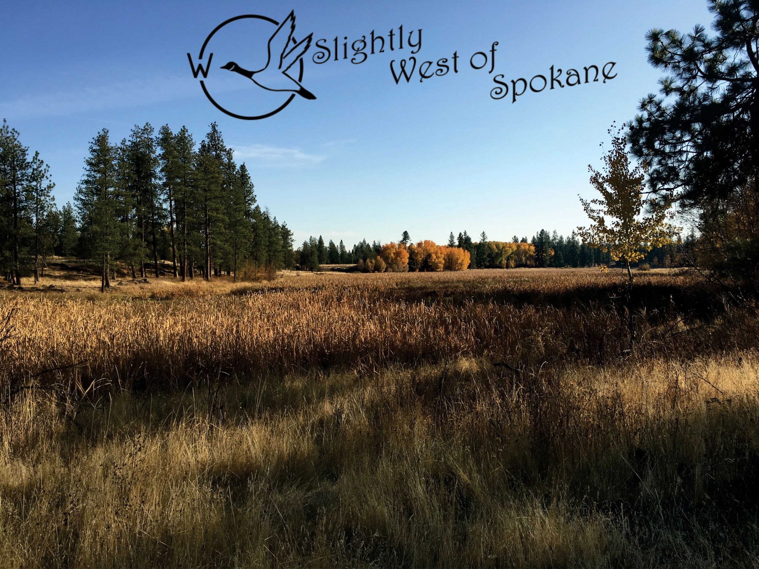 Local Artisans Showcase