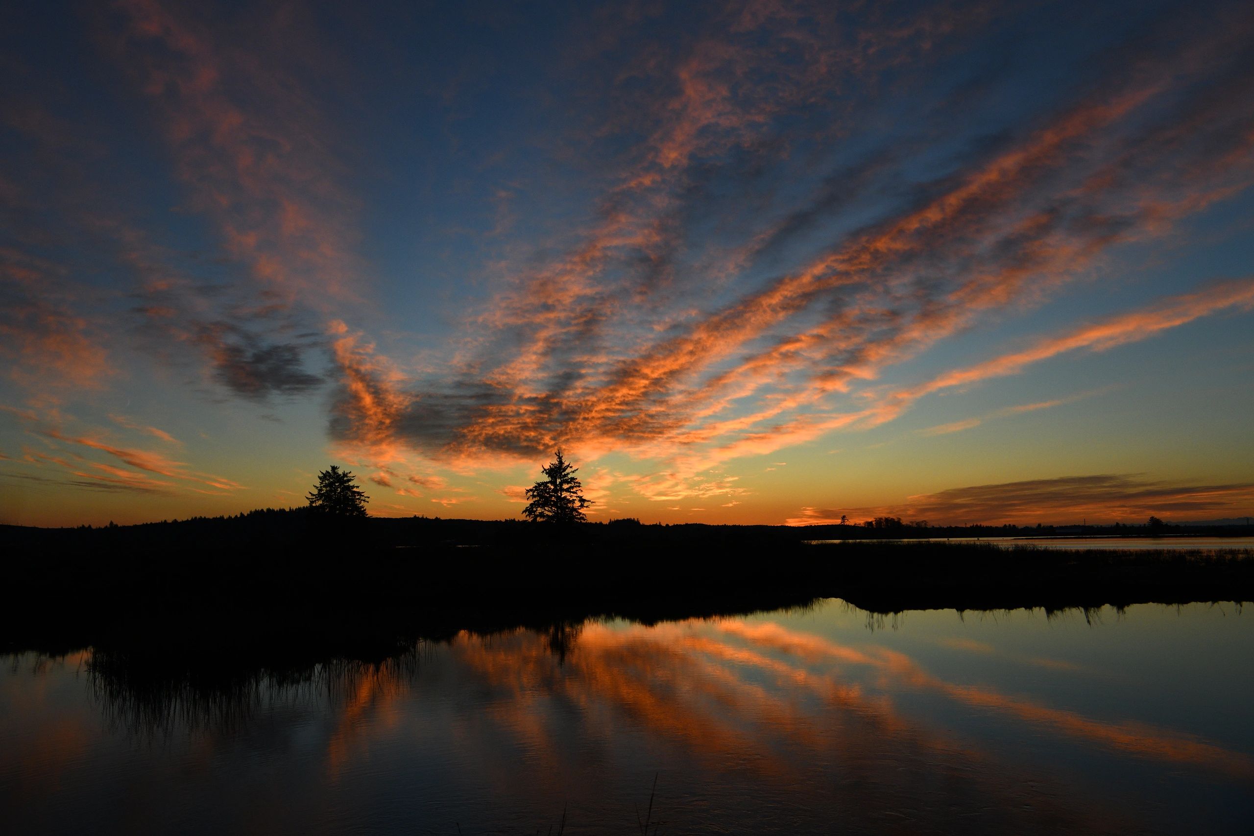 Richard McIntosh Photography