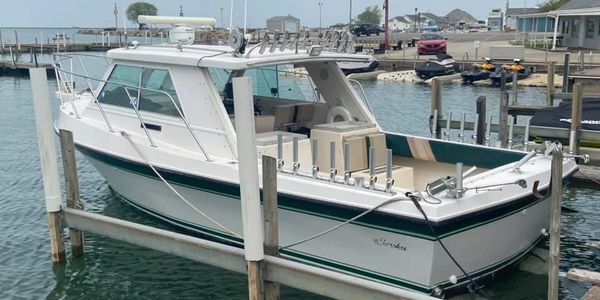 Carpetbagger Fishing Charters - Charter Boat, Lake Erie Charter