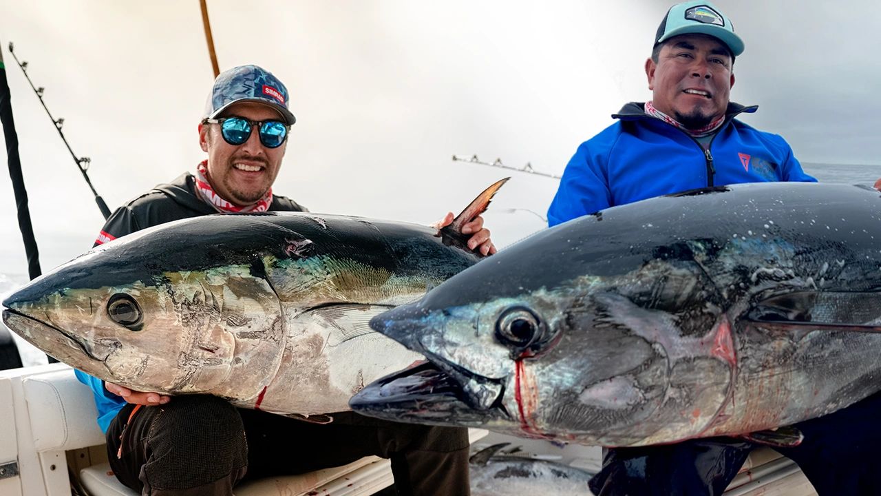 The Ultimate Guide to Bluefin Tuna Fishing Ensenada
