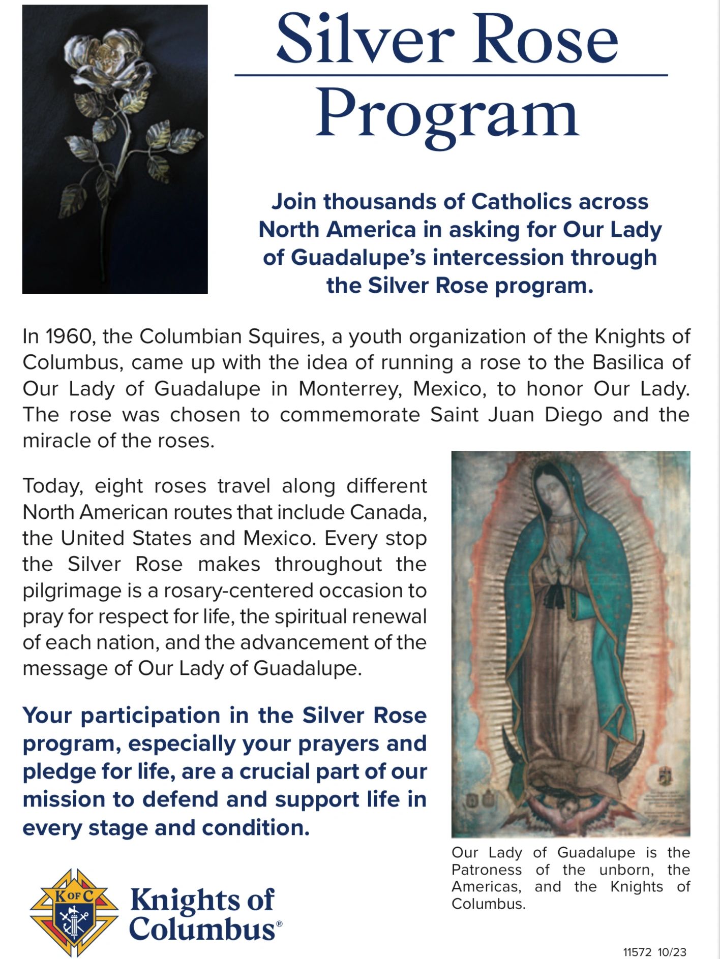 The Silver Rose | KnightsCTR