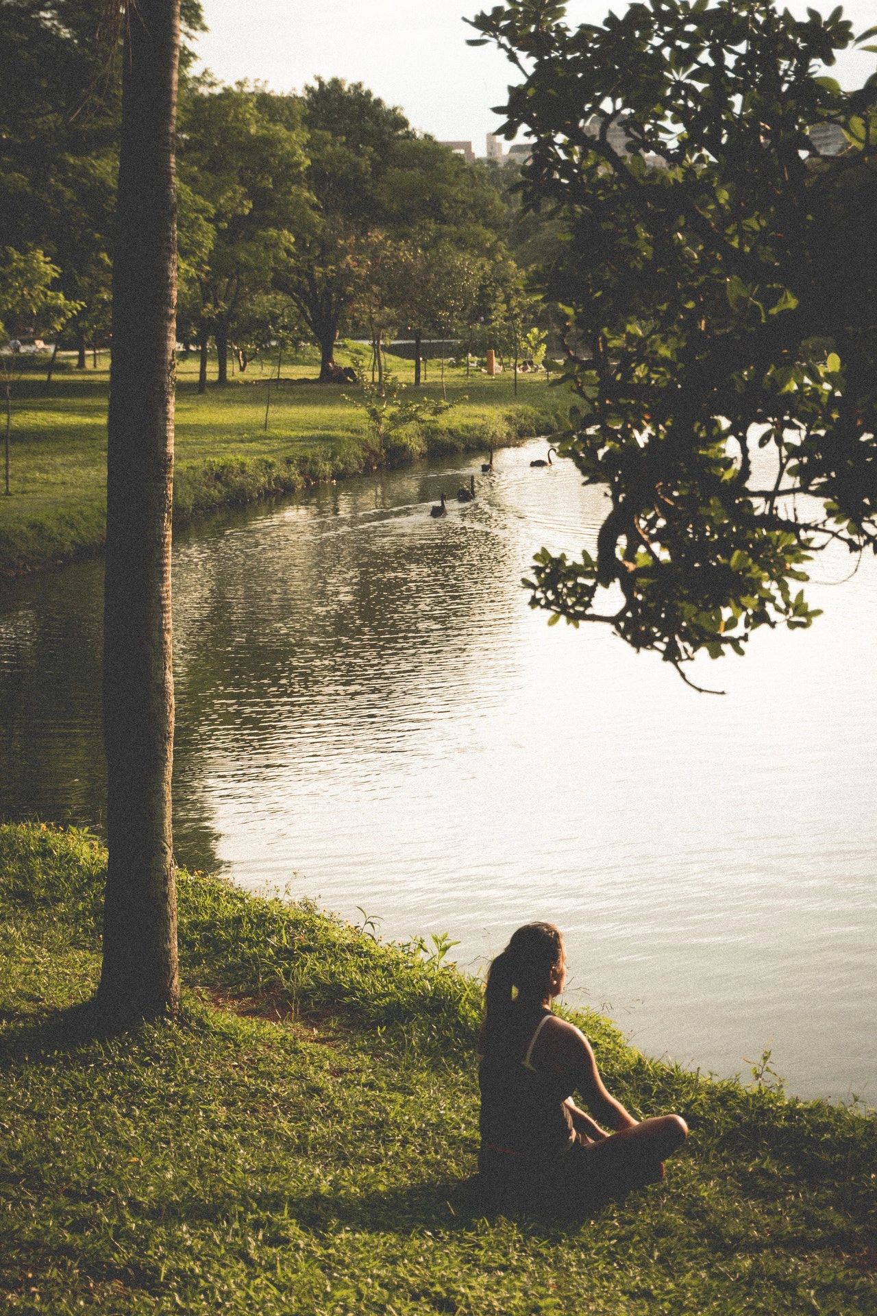 Rodda Counseling Services PLLC - Therapist, Counseling, Brainspotting