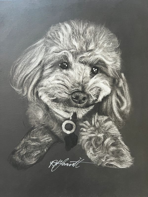 THE RKL COLLECTION - Rachel K. Leavitt