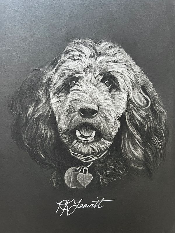 THE RKL COLLECTION - Rachel K. Leavitt