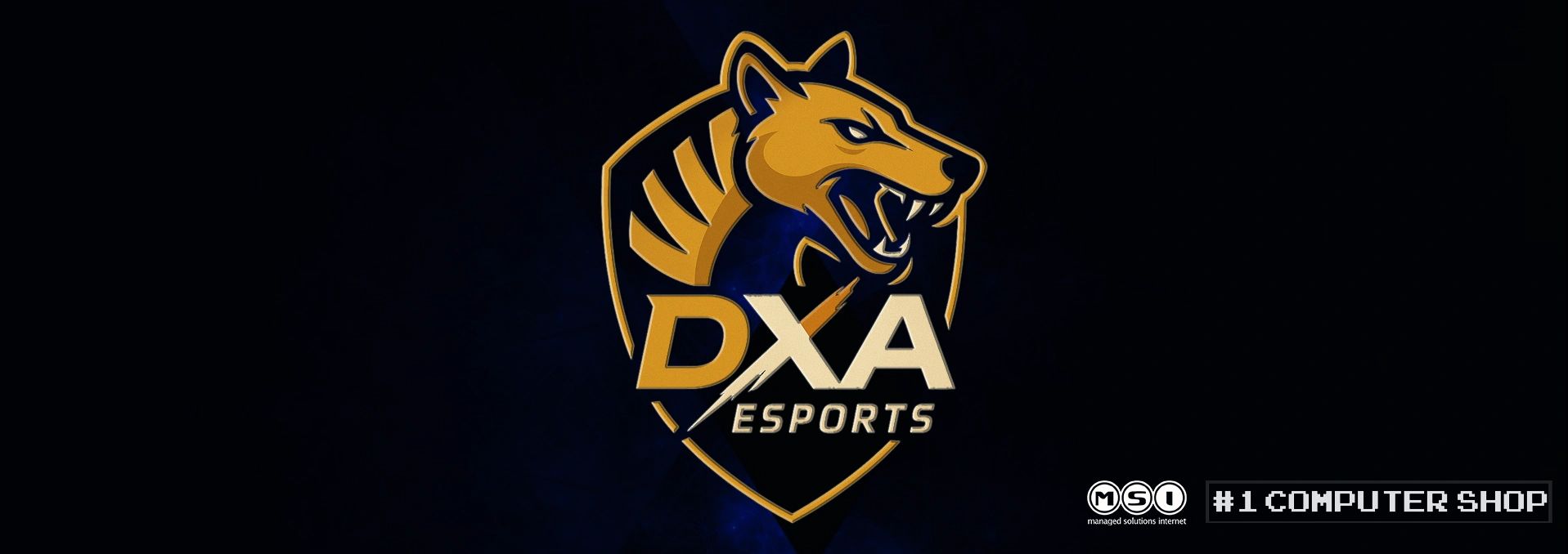 DXA Esports: Owners