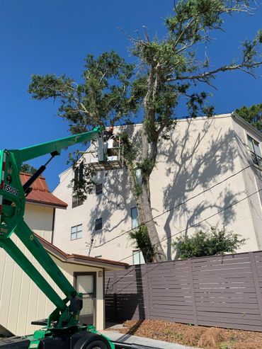 Stick Man Tree Service, LLC