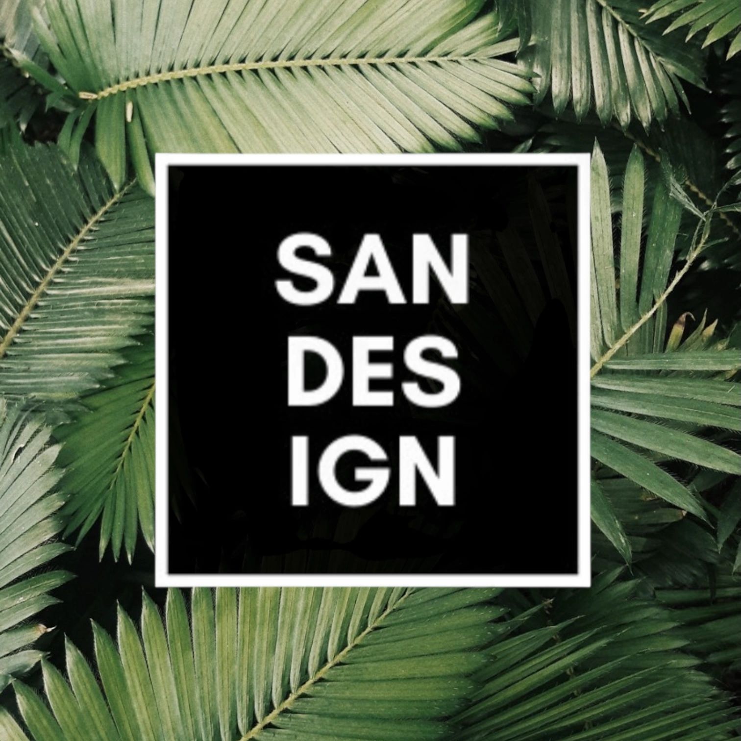 SAN Design - Original Design, Earrings, Jewelry Store