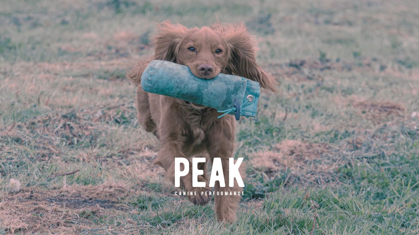 Peak Canine Performance