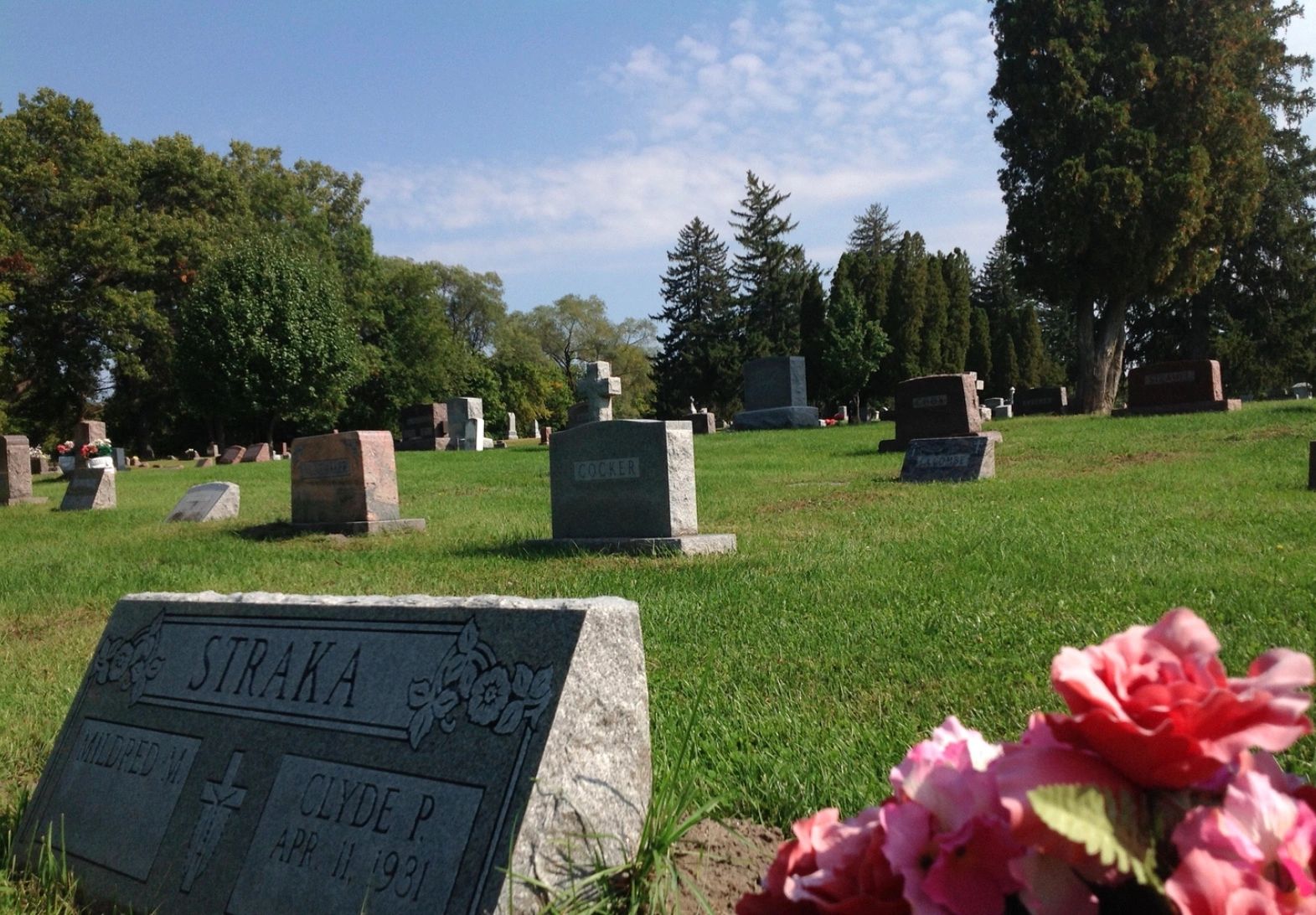 Burial Options