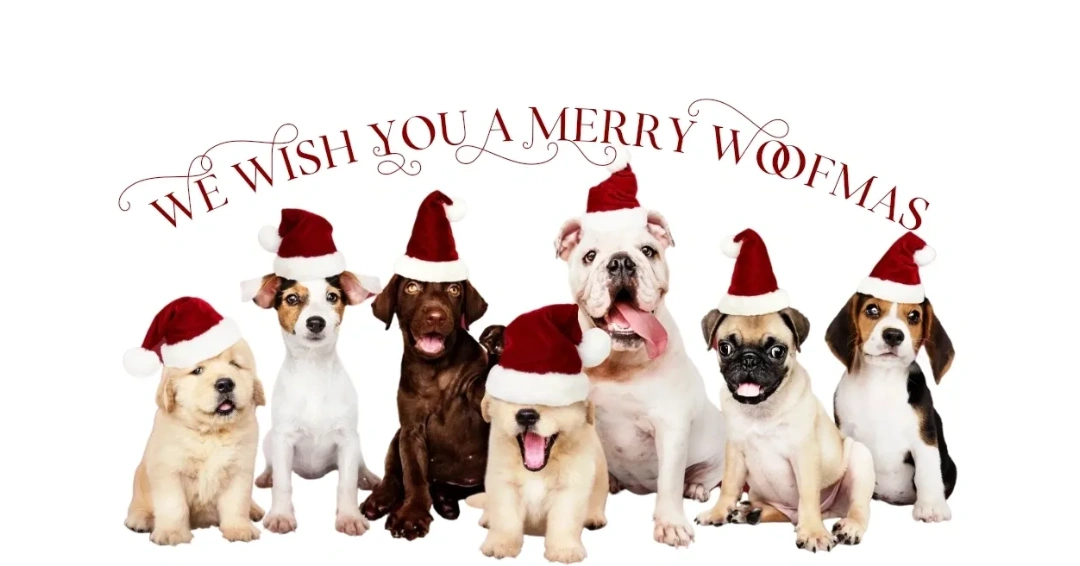Woofin Good Pet Treats Pet Dog Treats Pet Store Dog Woofin Good Pet Treats Pet Dog Treats Pet Store Dog