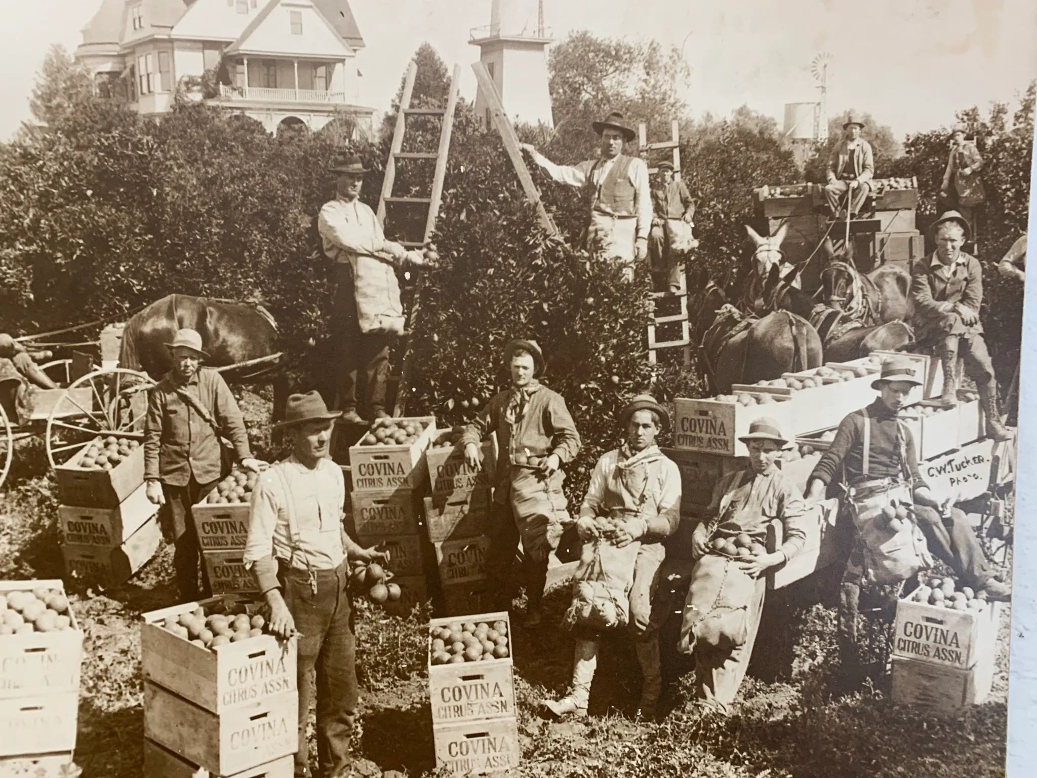 Pioneers