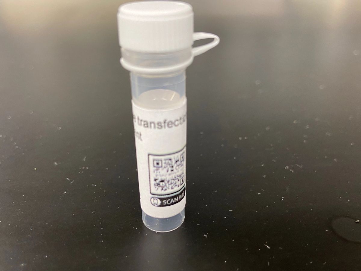 Beyond Biotech PEI ready-to-use transfection reagent