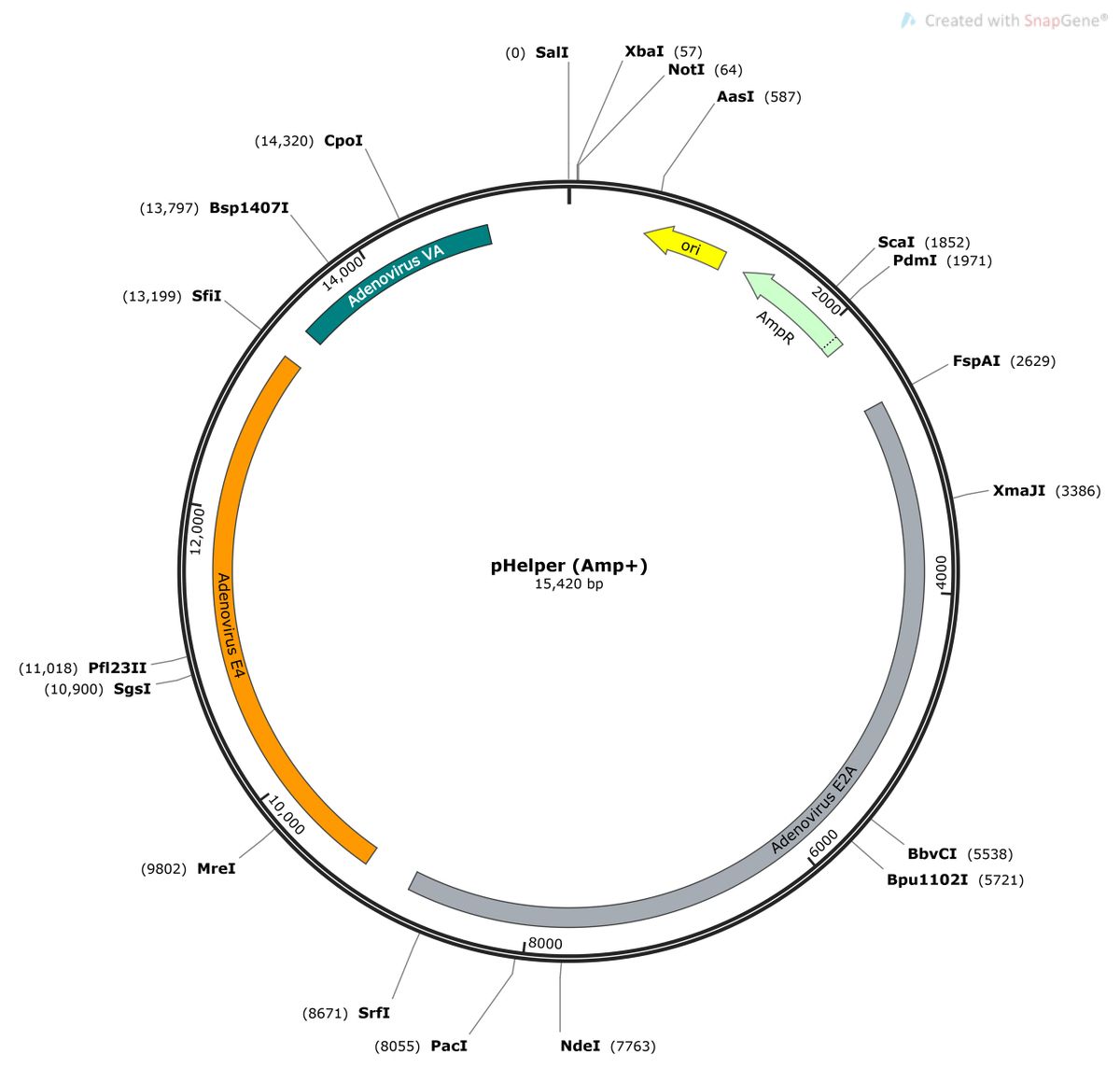 rAAV9 Ready-to-Use Kit