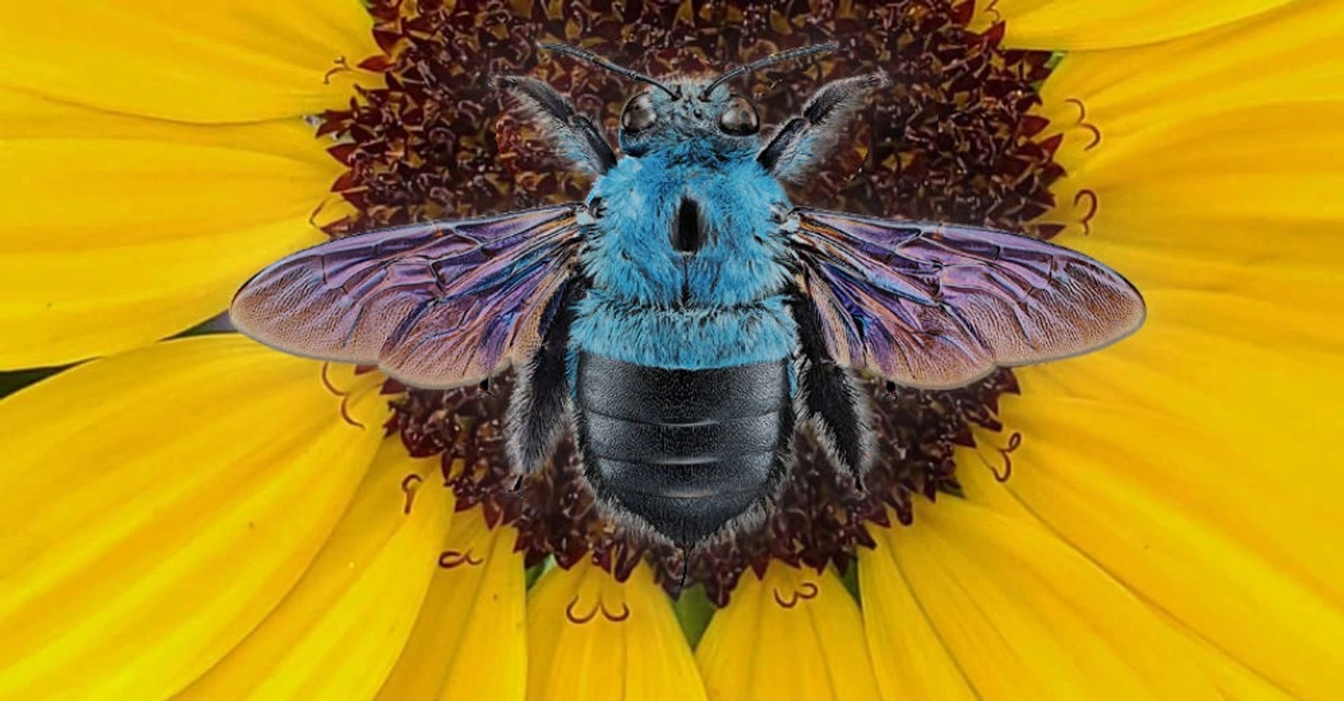 Blue Bumble Bee Creations - Wood Floral Arrangements and Wood Floral ...