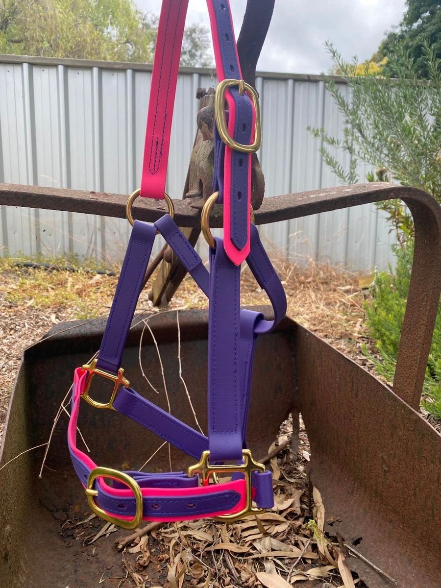 Classic Double Colour Biothane halter