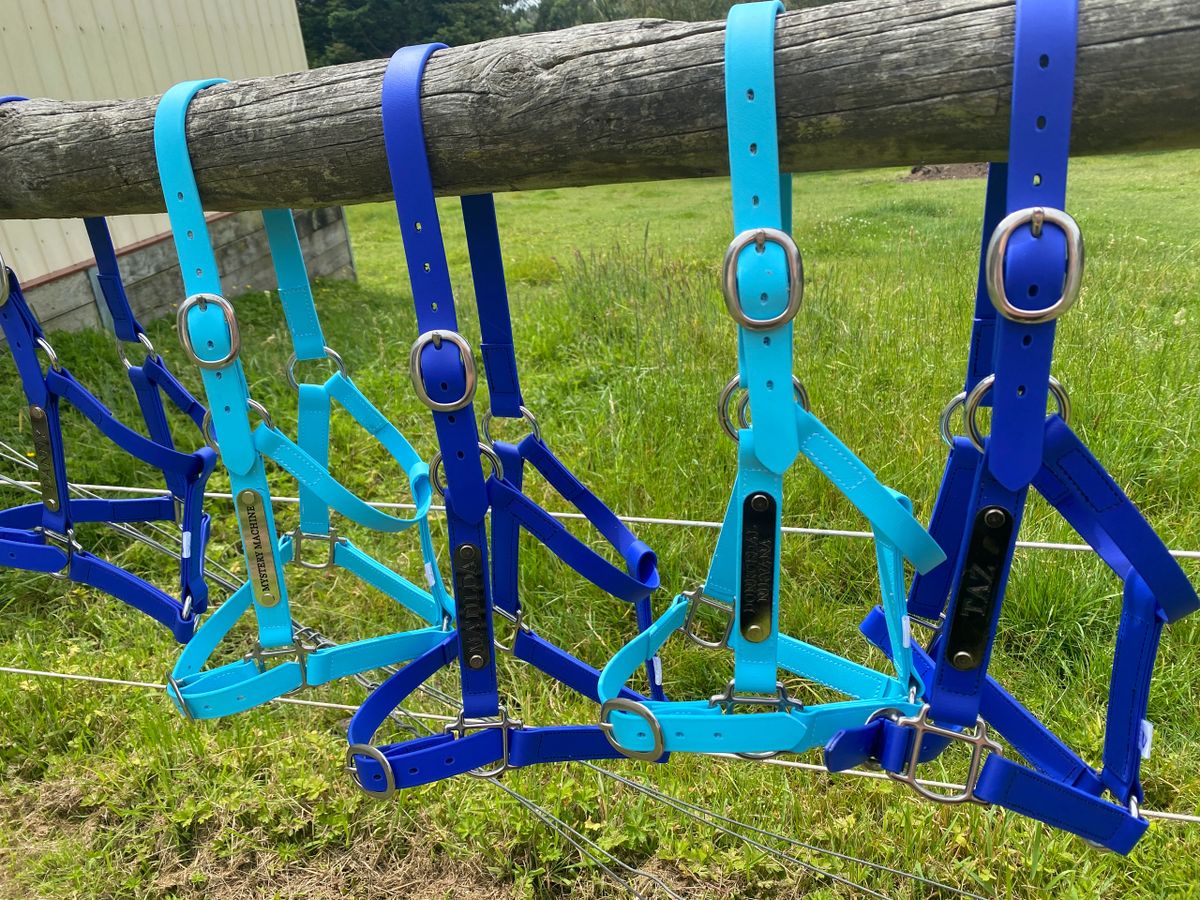 Single Colour Biothane Halter