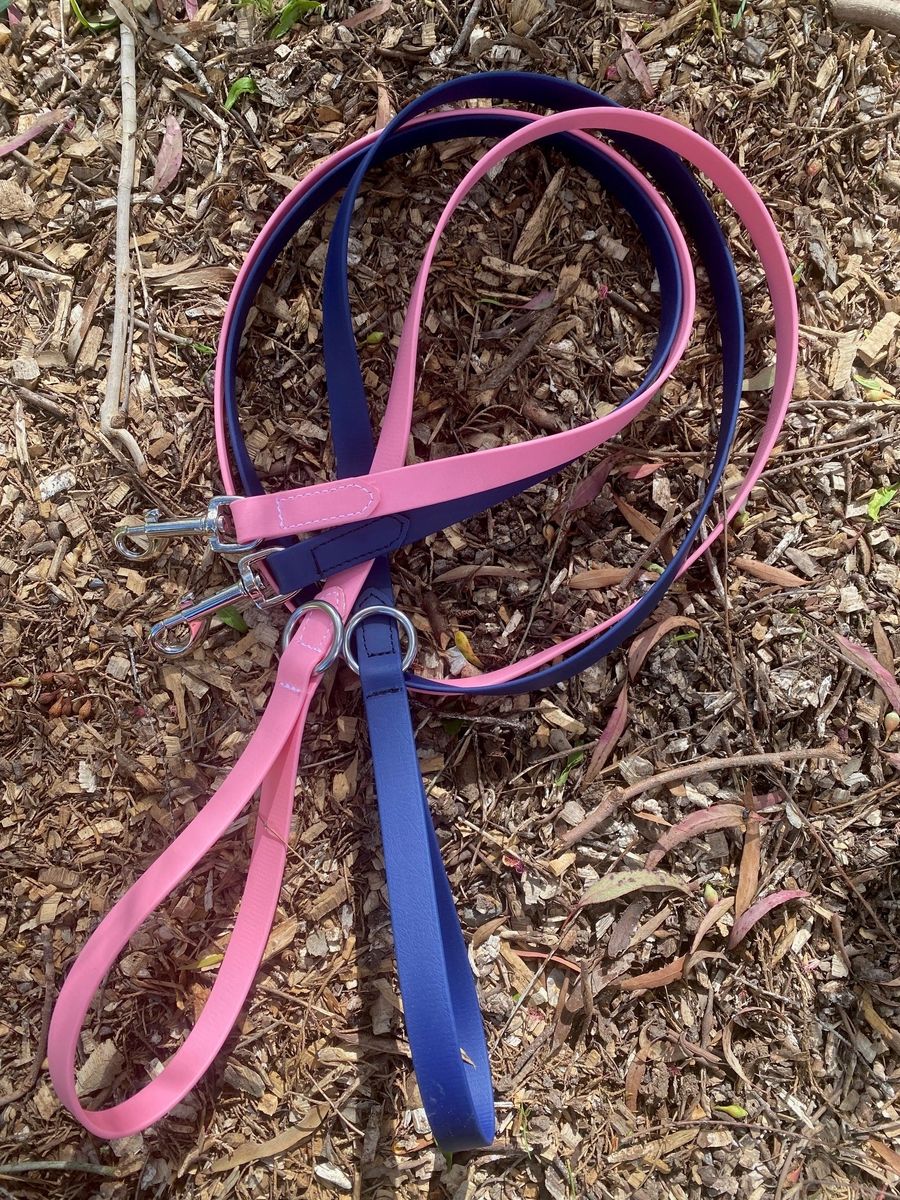 Standard Biothane Leads