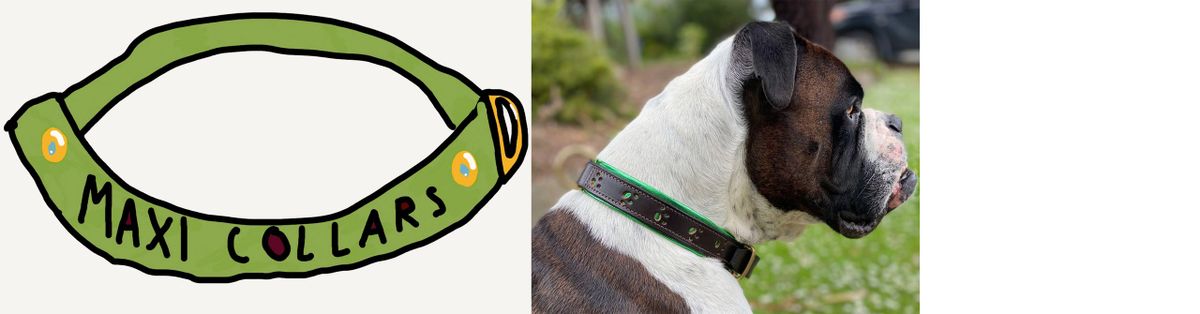 Maxi Collars