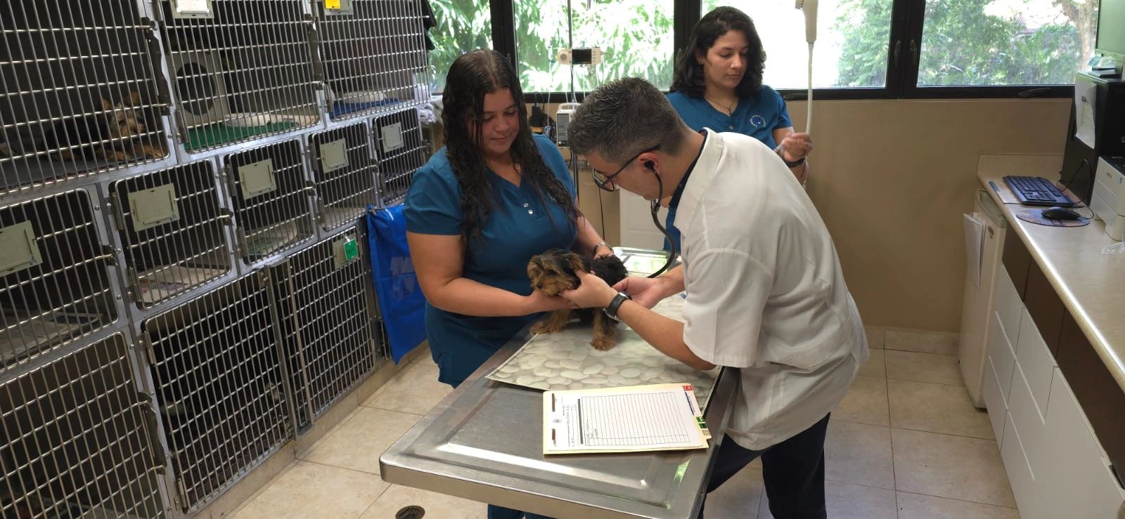 Caparra Animal Hospital