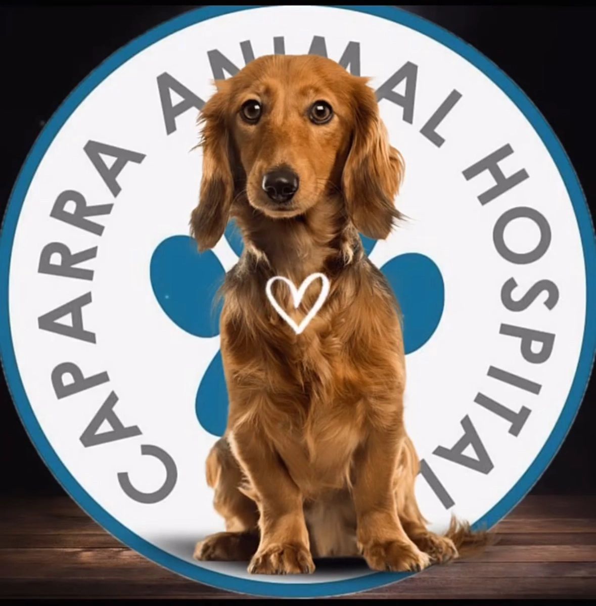 Caparra Animal Hospital