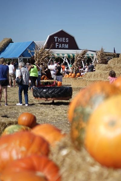 Pumpkinland | Thies Farm & Market