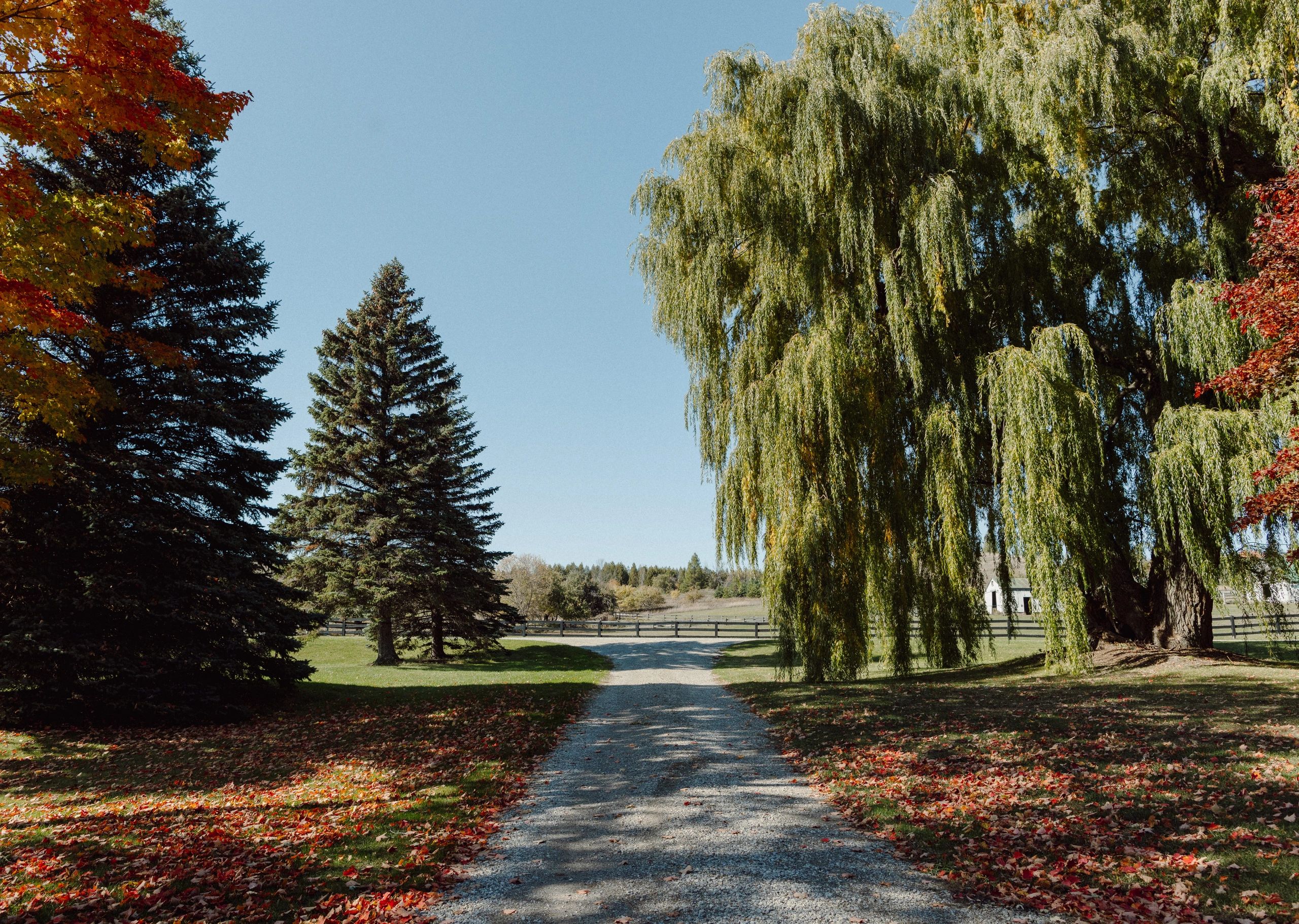 Caledon Valley Estate - Barn Wedding, Outdoor Venue