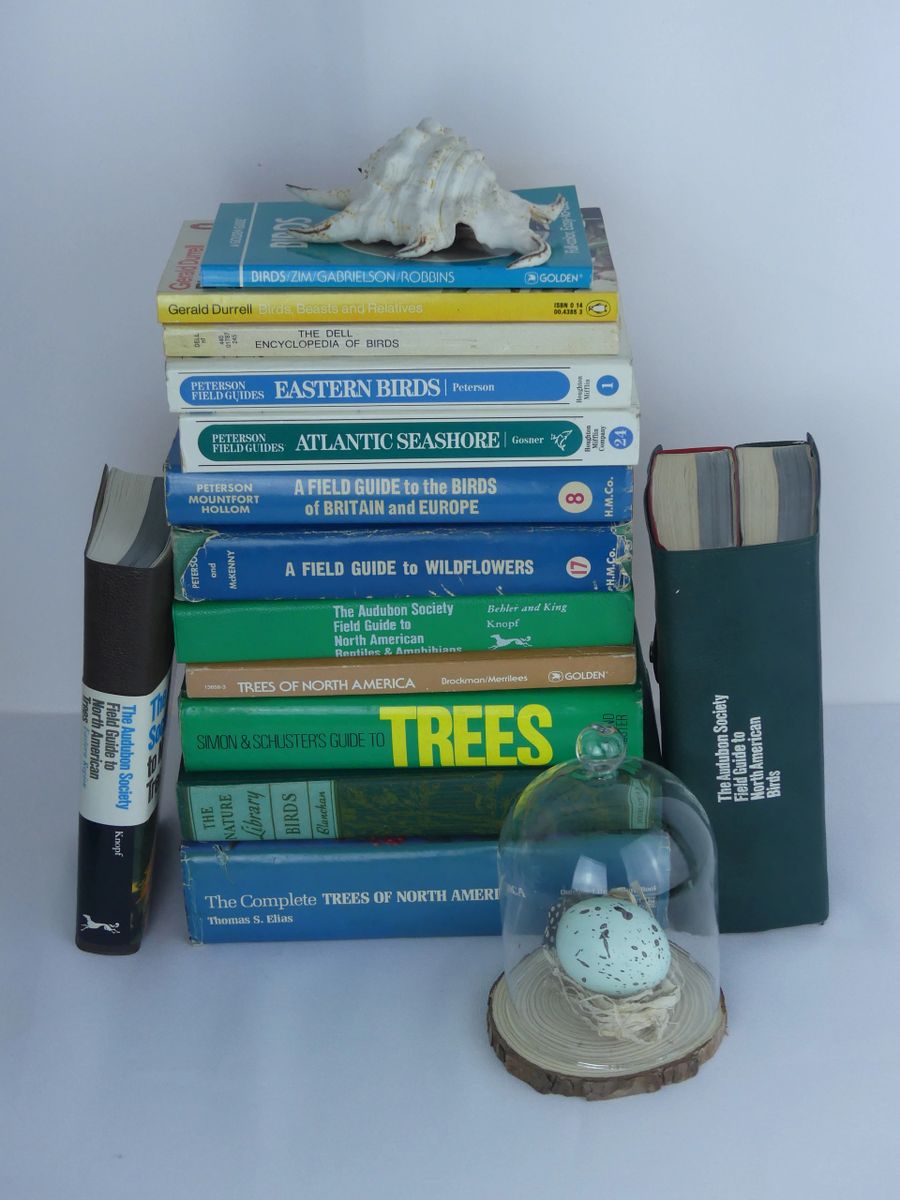 Vintage Field Guides