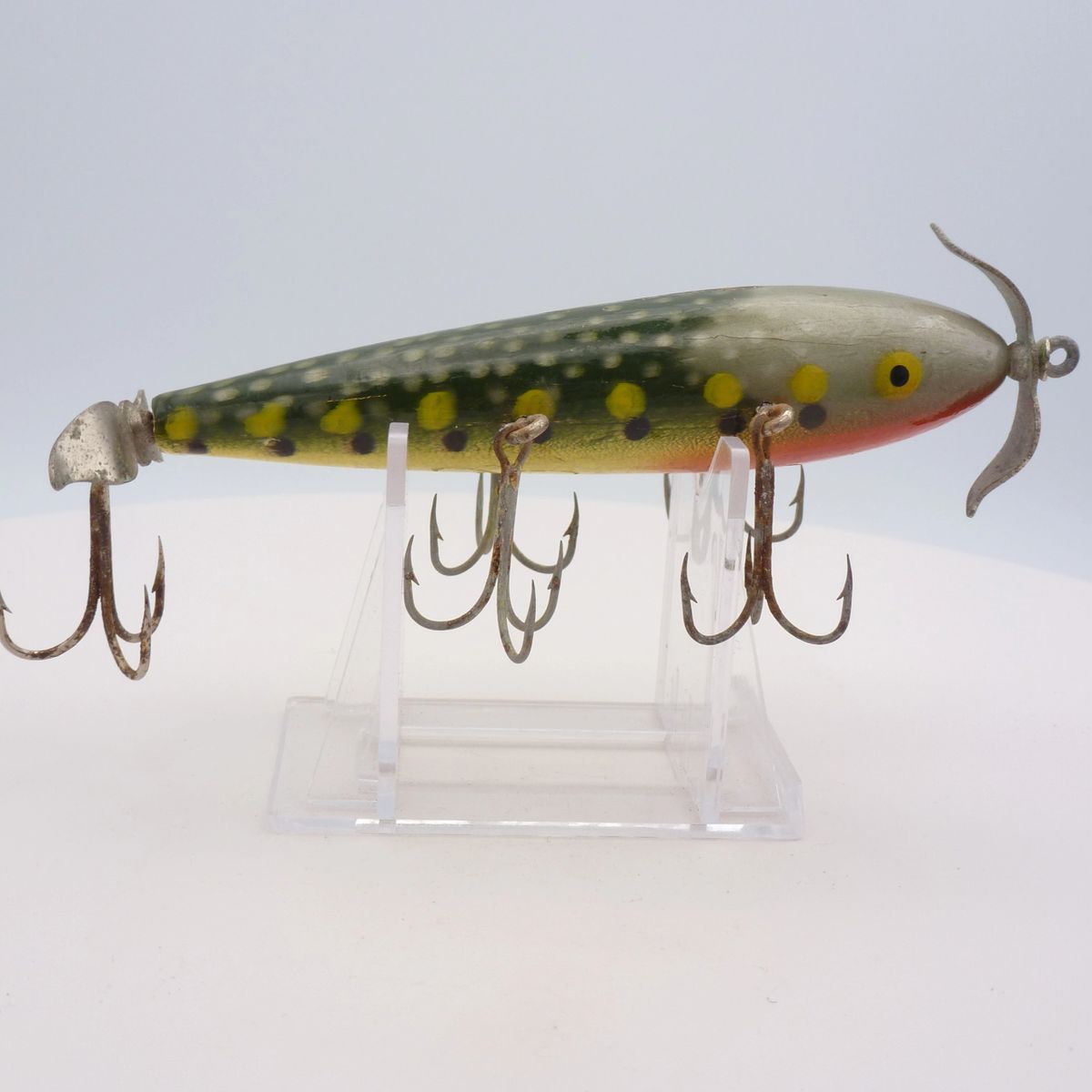 Scarce and Beautiful Eger Dillinger Underwater Minnow in Spotted Ape