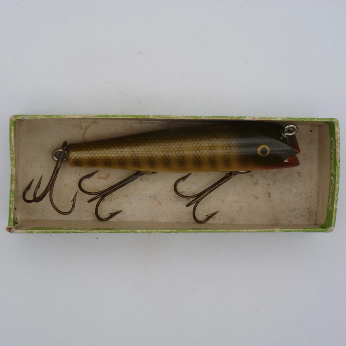 Pretty Pike-Scale Creek Chub Darter