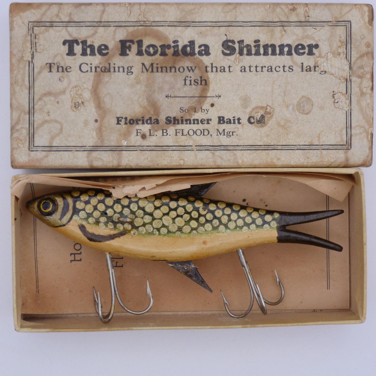 Exceptionally Nice Flood Minnow in Box with Papers