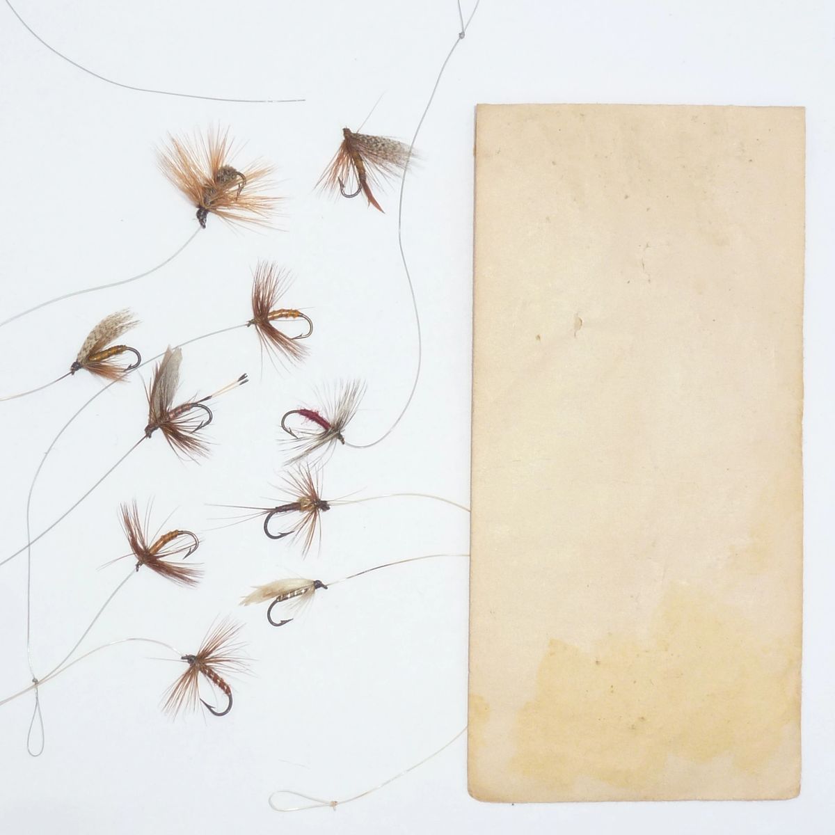 William Gessner Flies, Lot 4